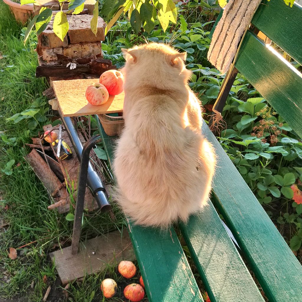 Иконка канала Татьяна К.  69781548😘