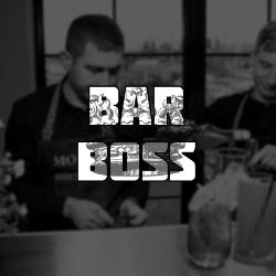 Иконка канала BarBoss vlg
