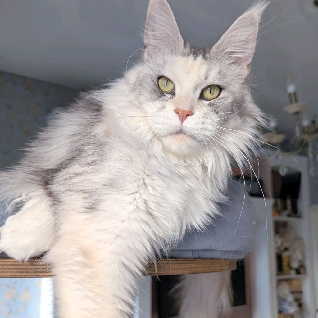 Иконка канала Питомник NoBabyGlare