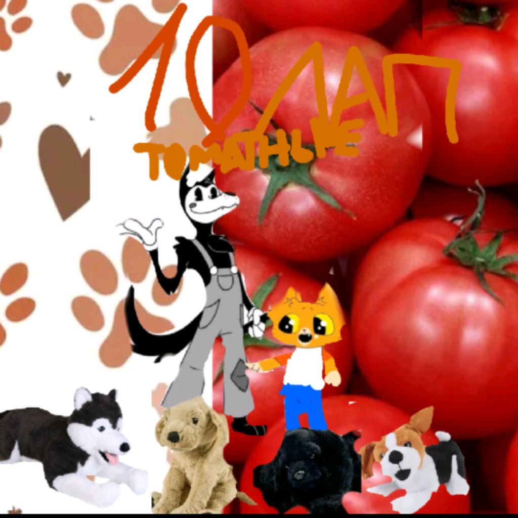 Иконка канала 10 Лап