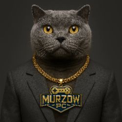 Иконка канала MurzoW PC