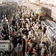 Иконка канала Весёлый Енот