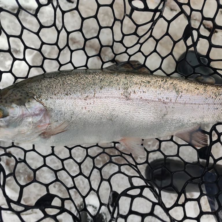 Иконка канала channel63929039