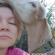 Иконка канала В ДЕРЕВНЕ С ЛЮБИМЦАМИ