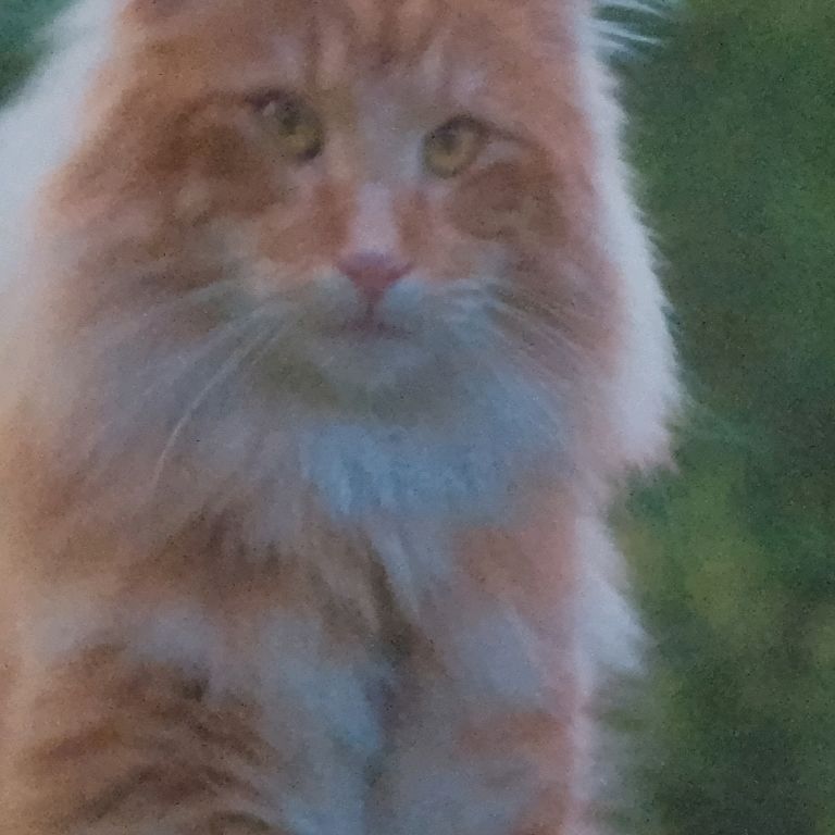 Иконка канала Макс🇷🇺