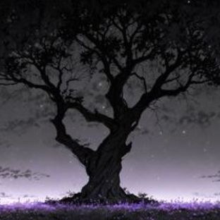 Иконка канала Avtoritetov