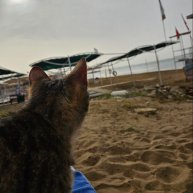 Иконка канала Дневник нефротика