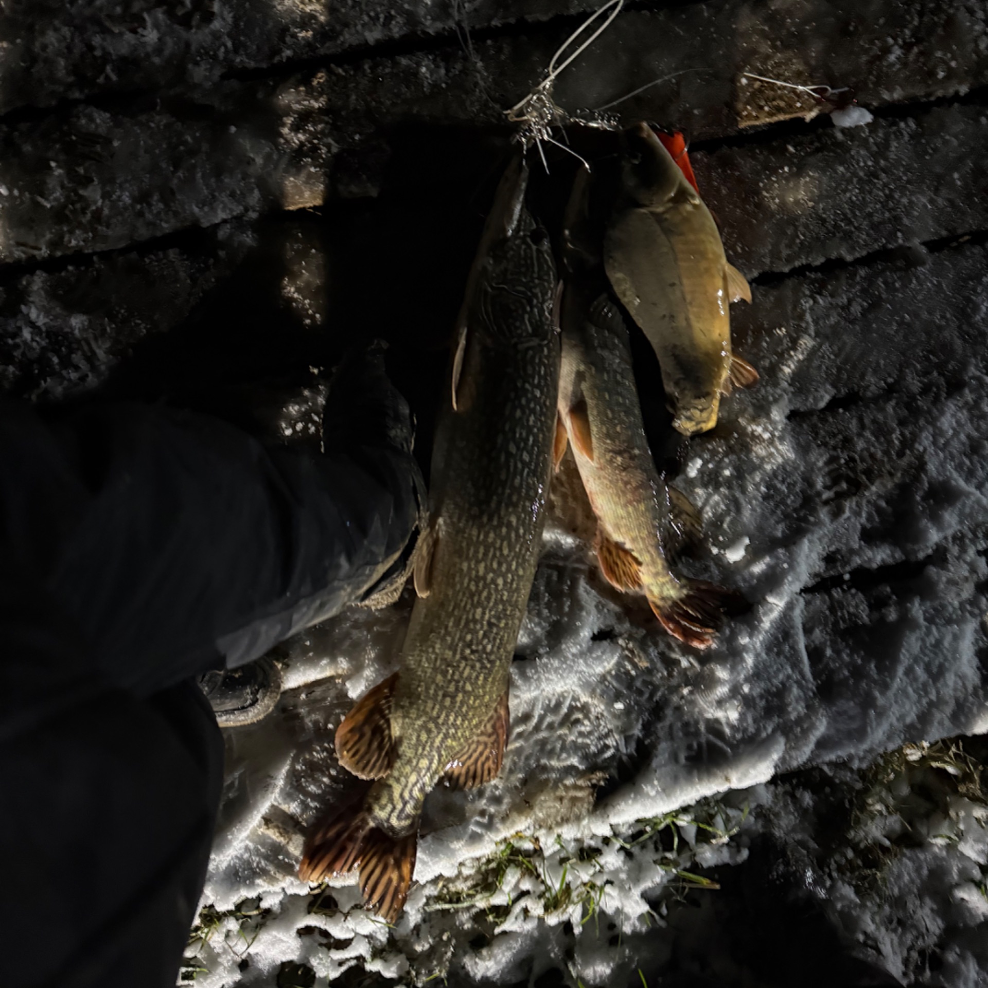 Иконка канала Клюет как надо!🎣🐟