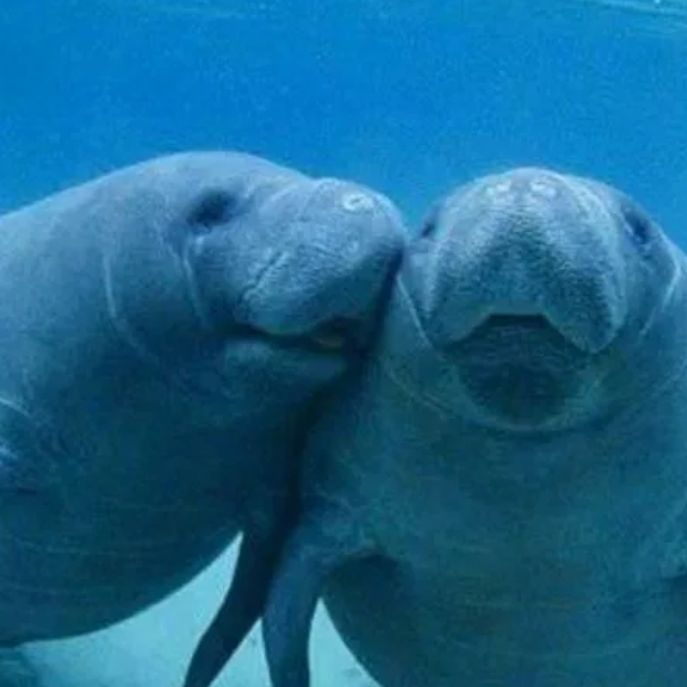 Иконка канала Vlog/ blog