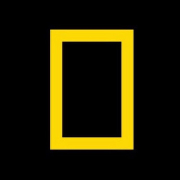 Иконка канала National Geographic