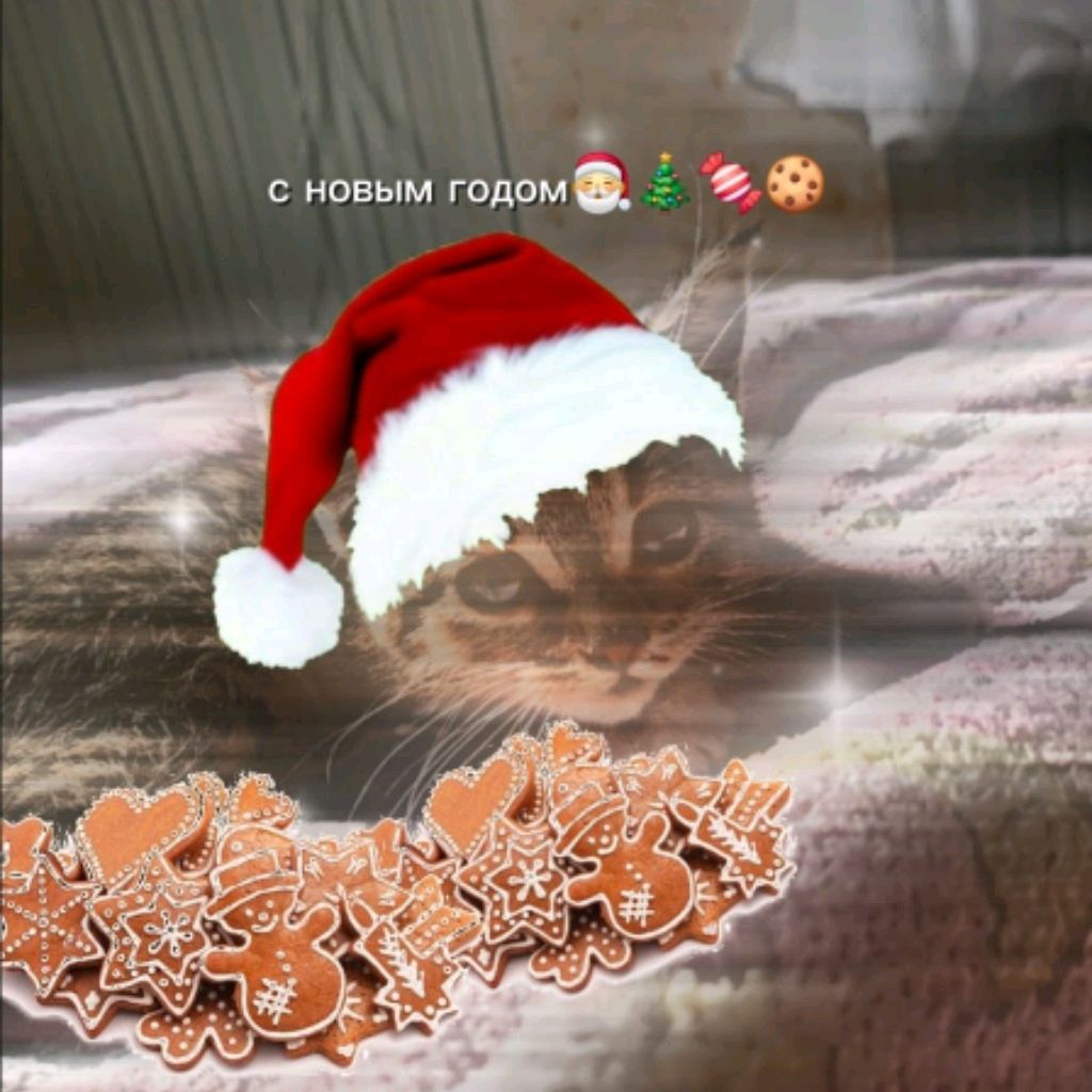 Иконка канала 🎅The little cat🍬