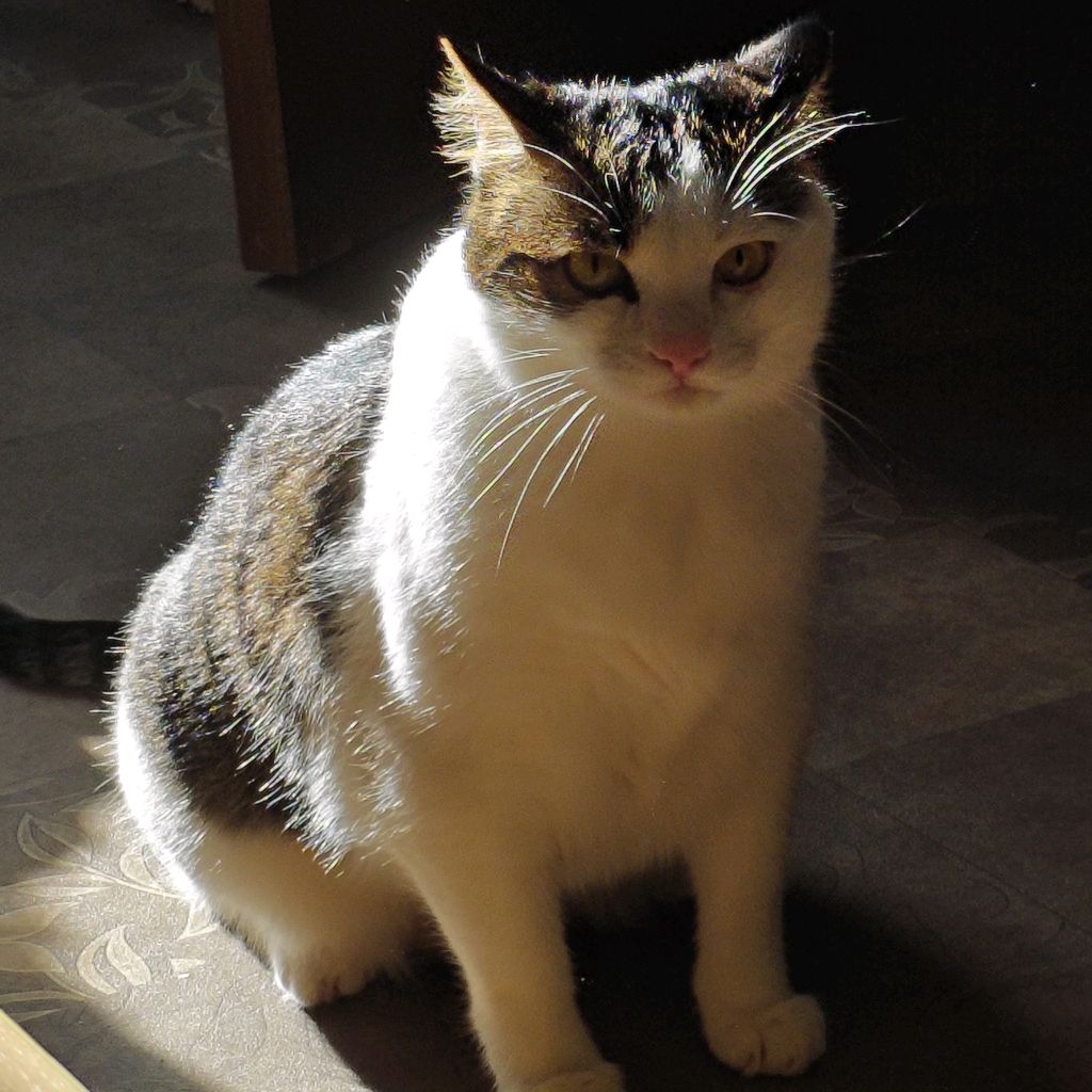 Иконка канала Ka6ano1d