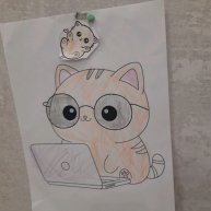 Иконка канала Nikastar