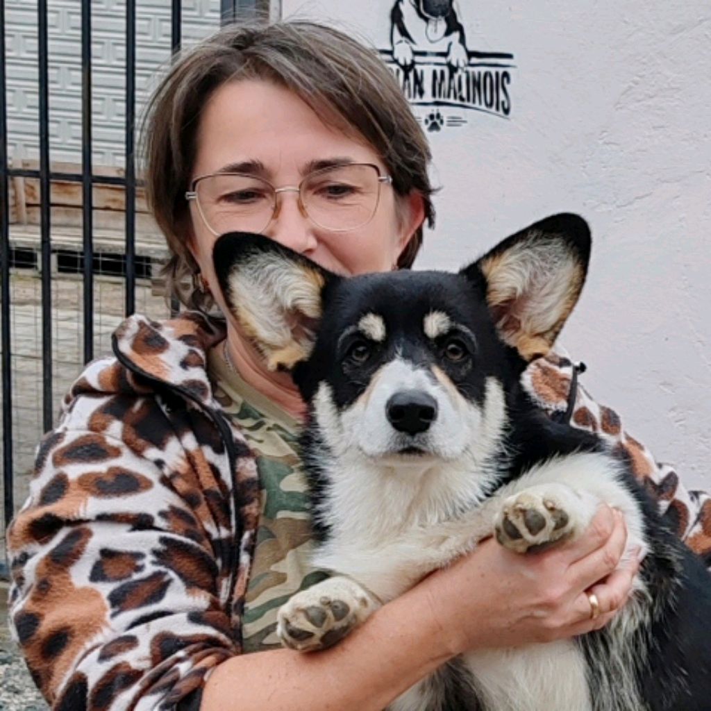 Иконка канала Глассленд Хантер