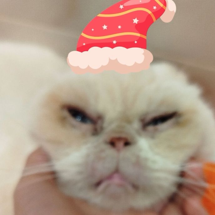 Иконка канала Magnitus 096