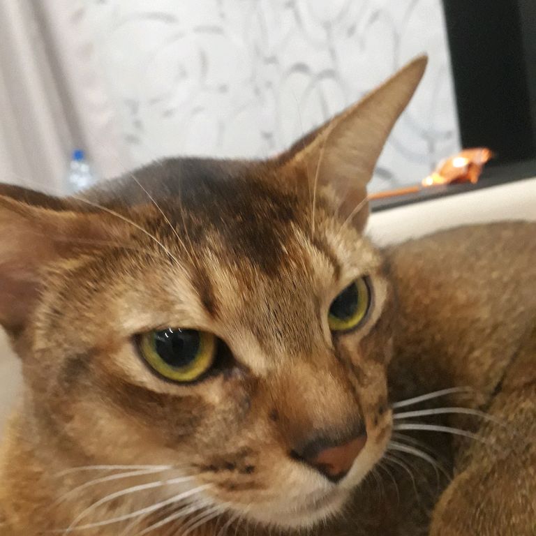 Иконка канала Кирюха