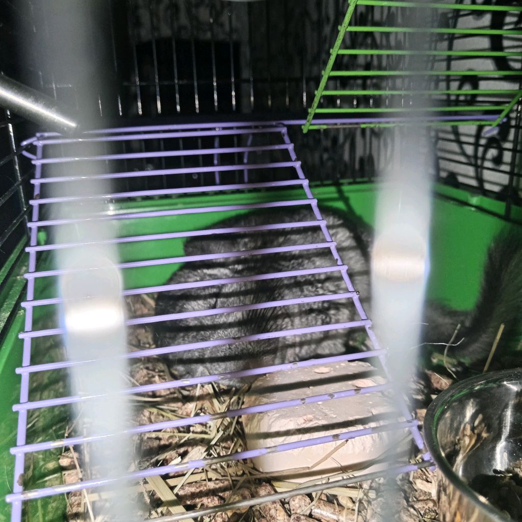 Иконка канала )))