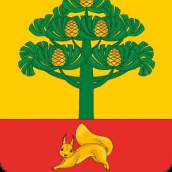 Иконка канала Администрация Сосновоборского муниципального округ