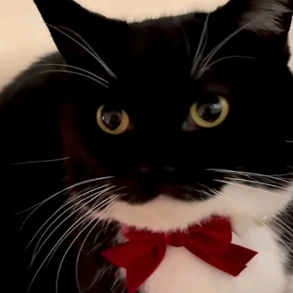 Иконка канала Максвелл