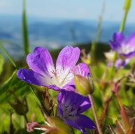 Иконка канала Глоток вдохновения