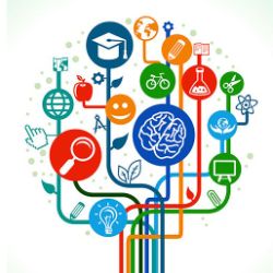 Иконка канала Диссертационный совет 24.2.486.02