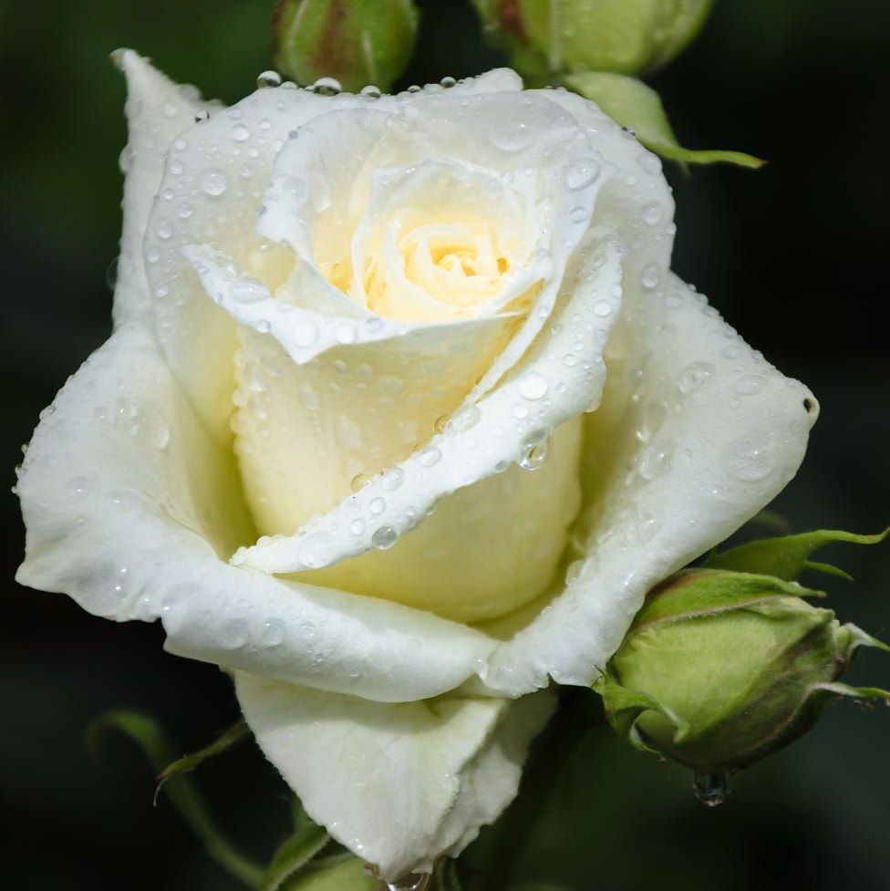 Иконка канала channel30059105