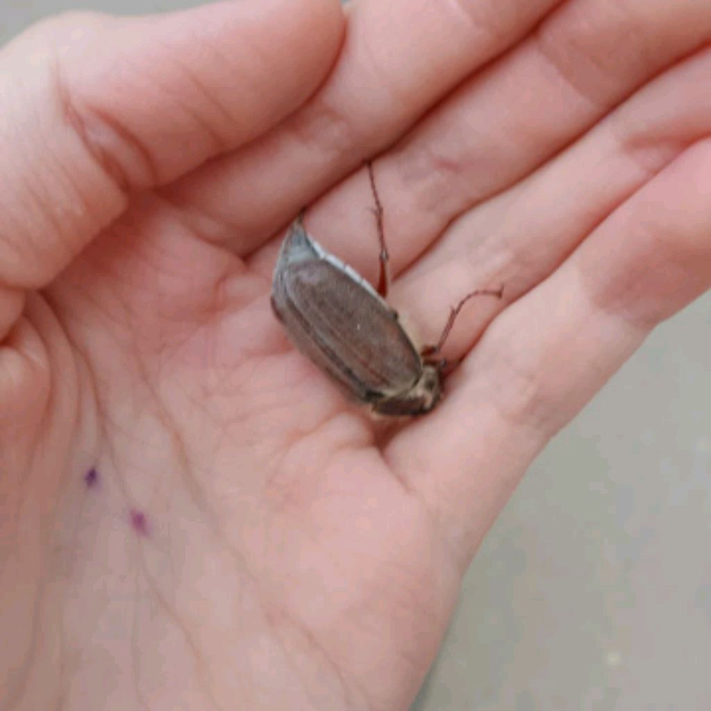 Иконка канала МИСТОР4