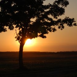 Иконка канала Работа После Работы.