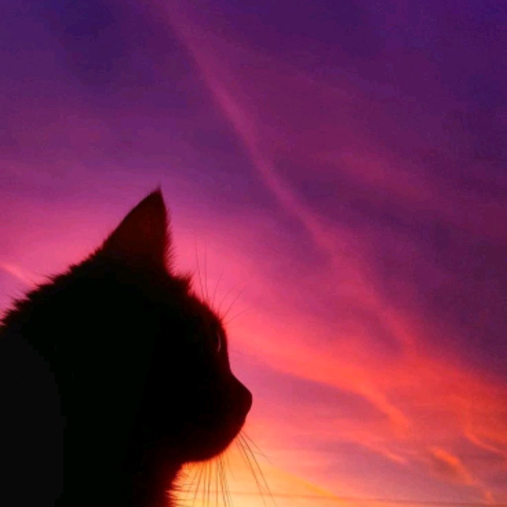 Иконка канала Ушла в лайк