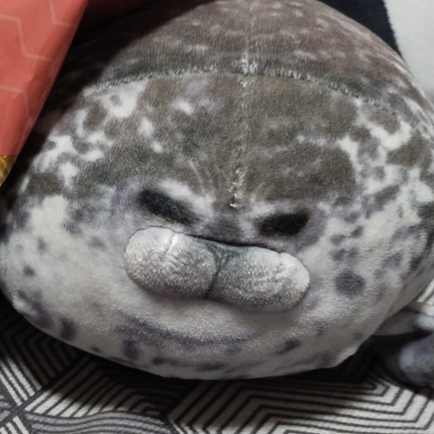 Иконка канала Foxs20r