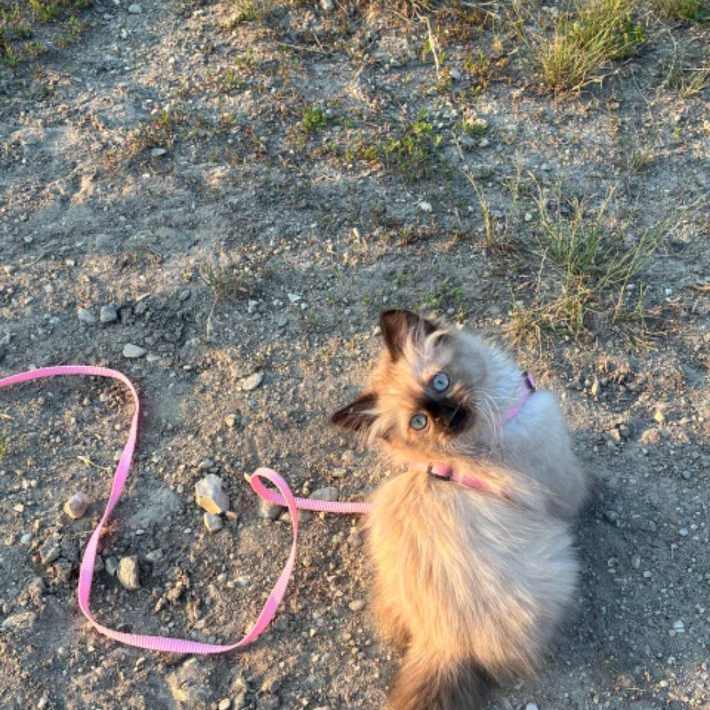 Иконка канала 💚Зелëнка💚