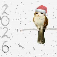 Иконка канала хзешник