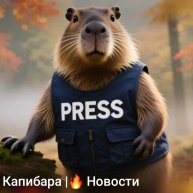 Иконка канала Капибара |🔥 Новости