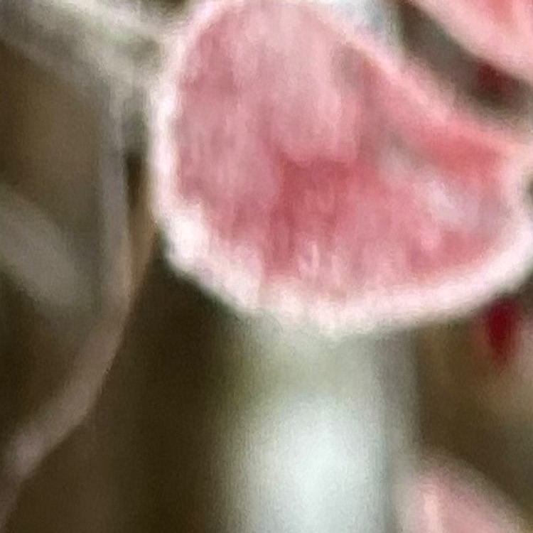 Иконка канала С