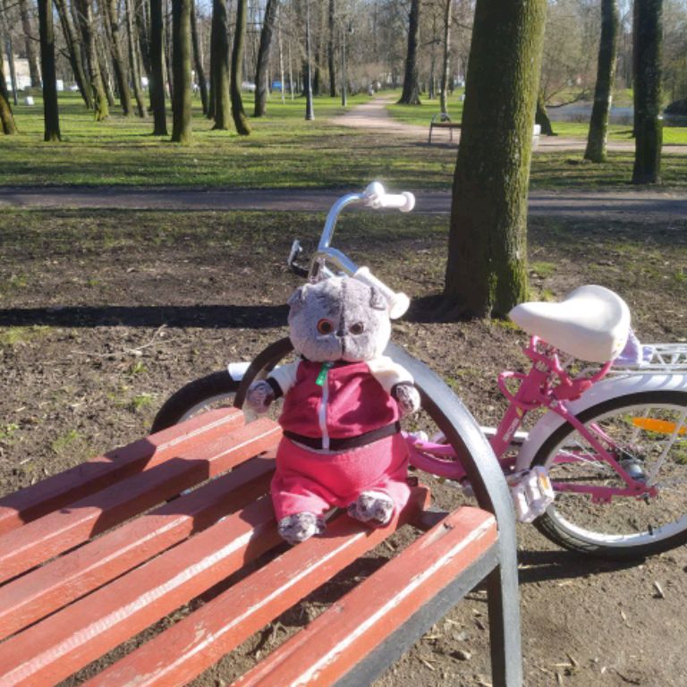 Иконка канала Прогулки Басика 🐱🐱🐱