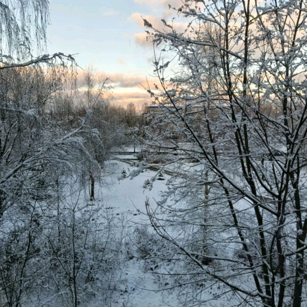 Иконка канала 🍀🍋🟩Лайм 🍋🟩 🍀