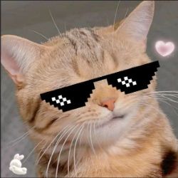 Иконка канала Яромир кот