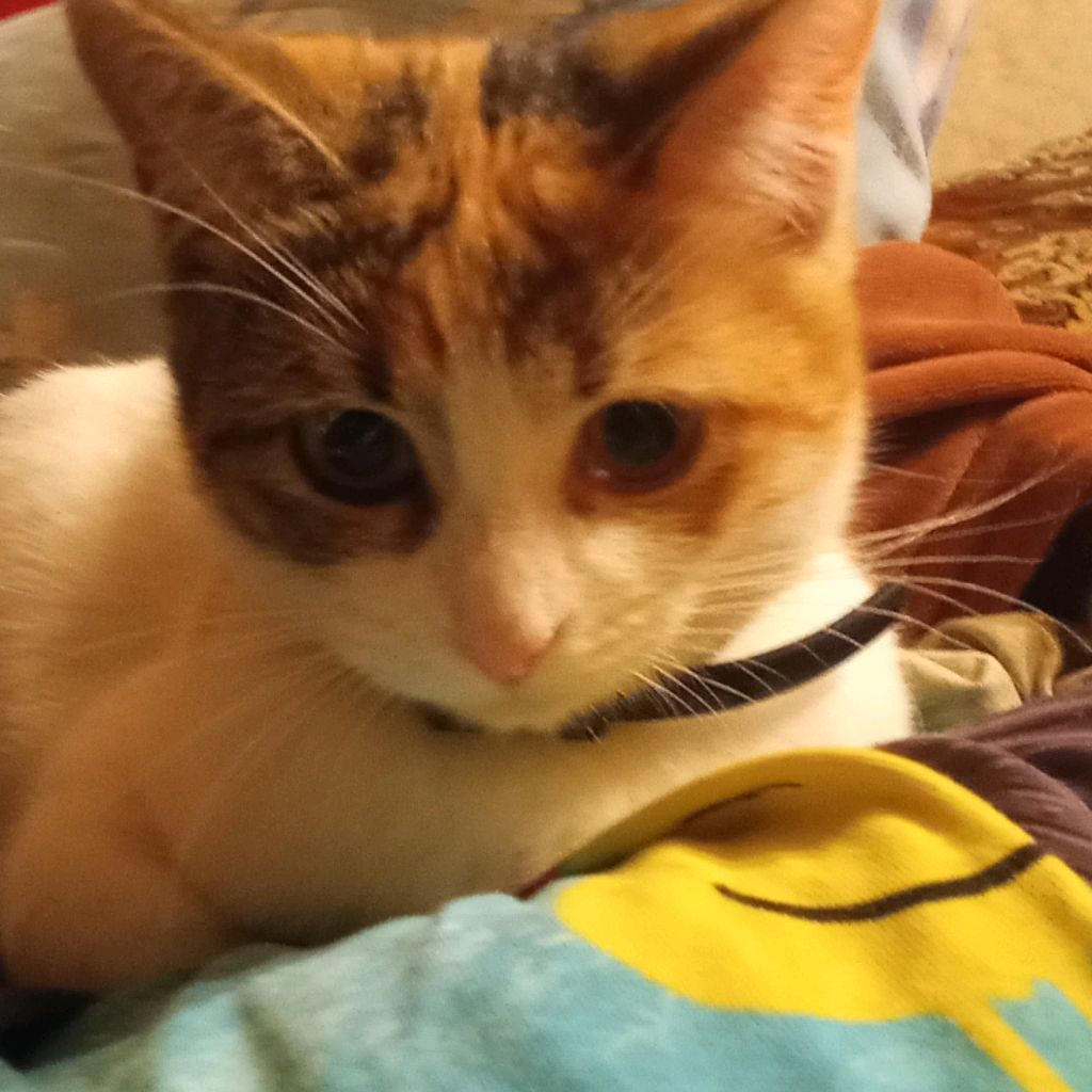 Иконка канала КСЮХА МАРСЮХА