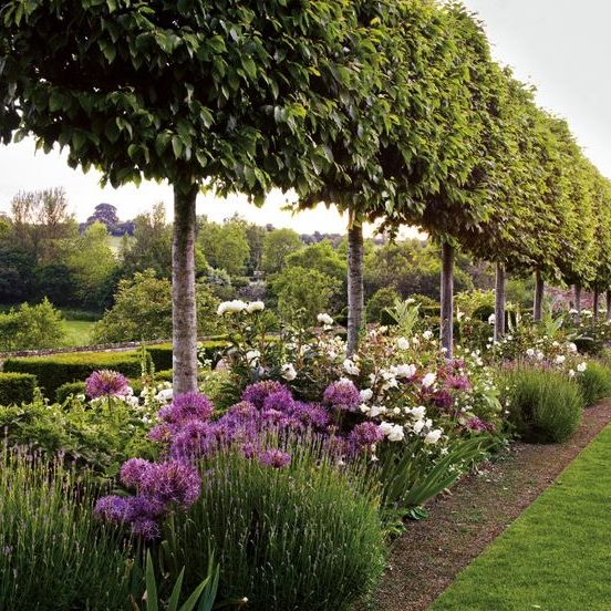 Иконка канала Nata Tyt Live