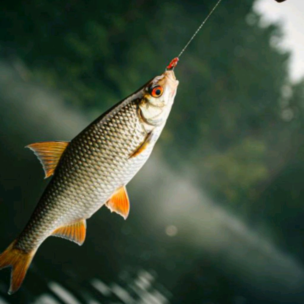 Иконка канала Диалоги Про Рыбалку