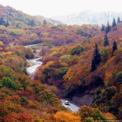 Иконка канала Тим студия вебинаров