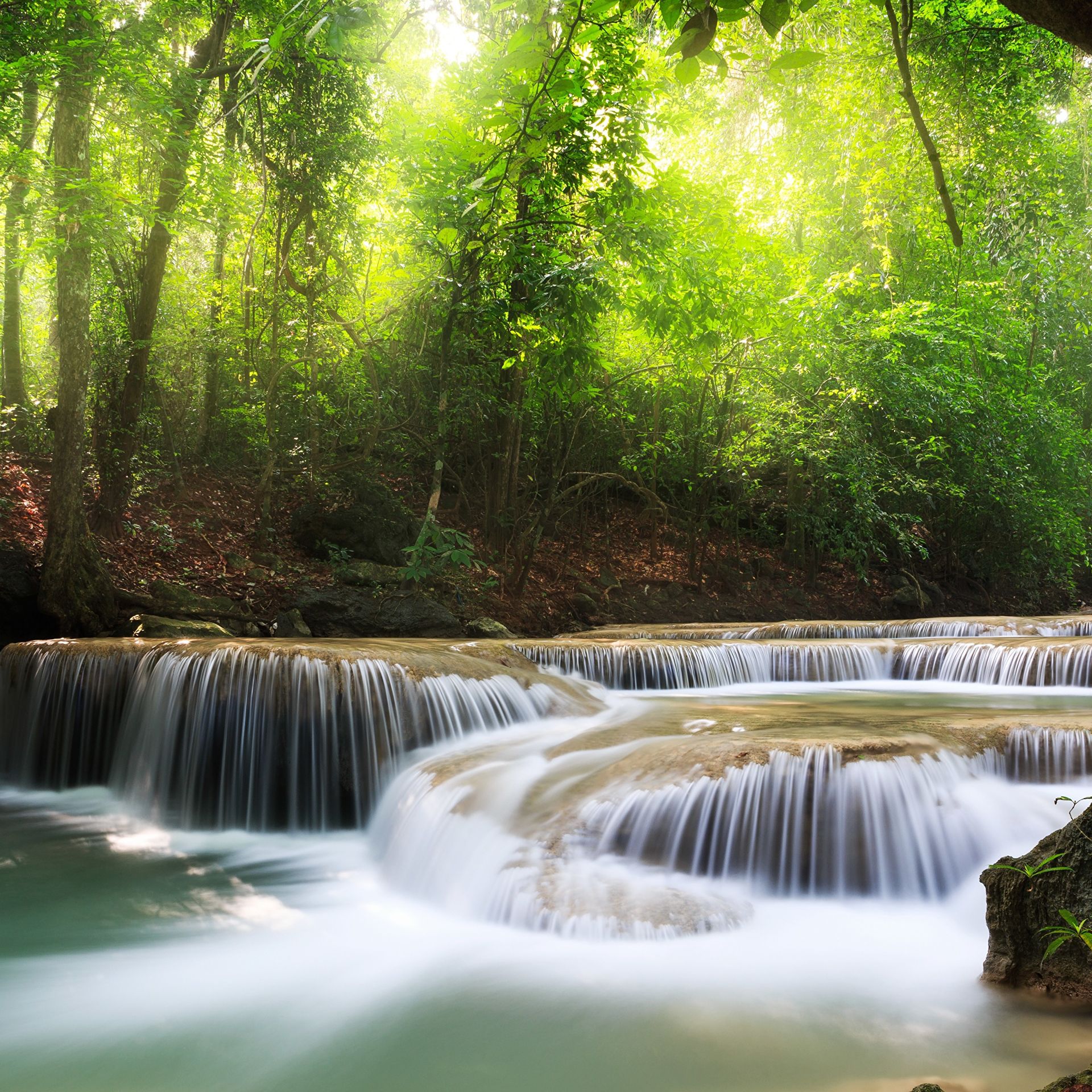 Иконка канала Свет и Любовь