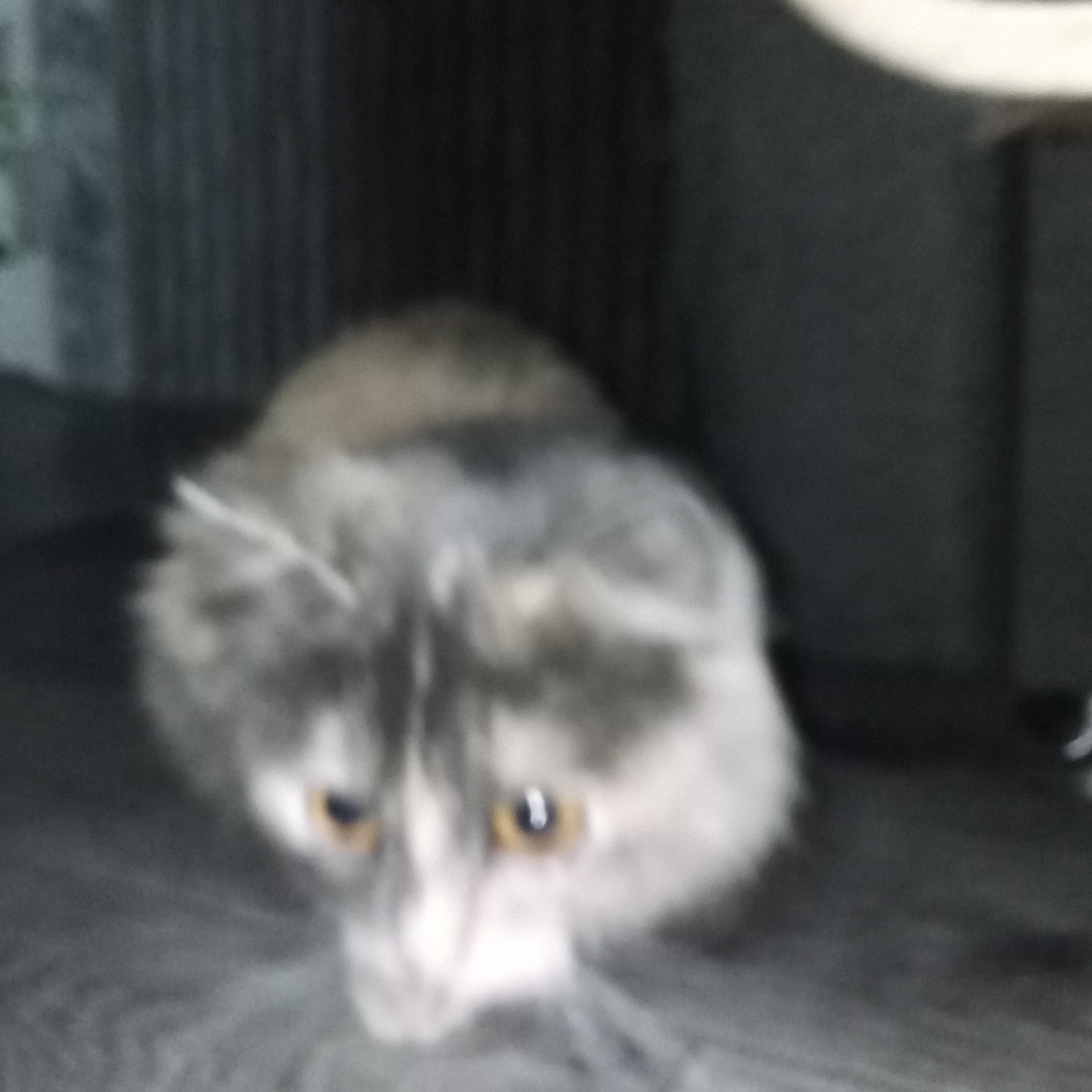 Иконка канала Сашка и данька крутые братья