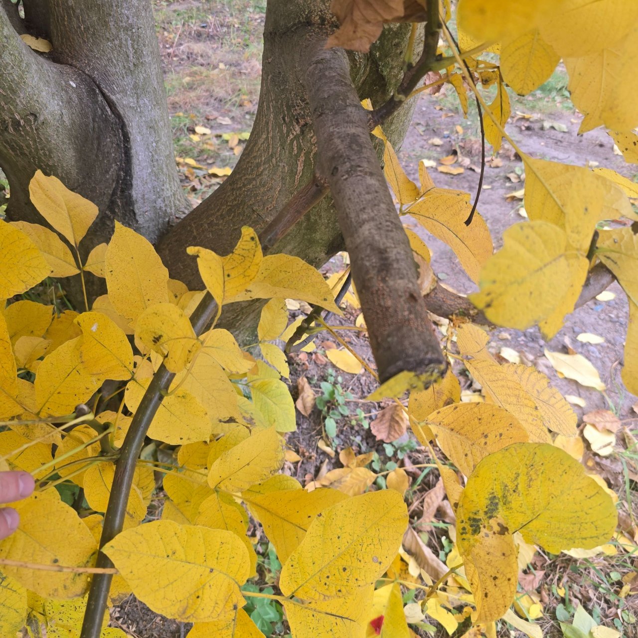 Иконка канала AVTOMIHA46