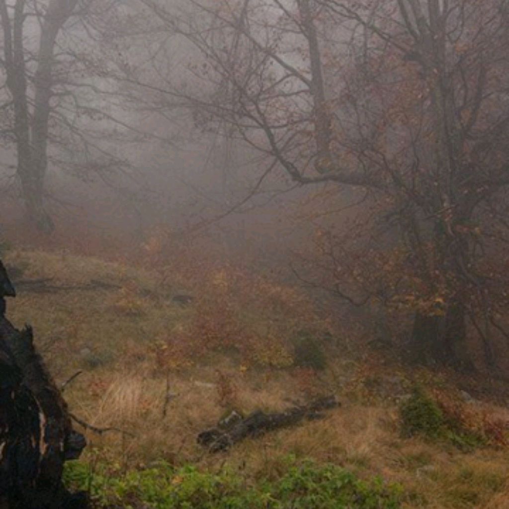 Иконка канала Переписки с ?