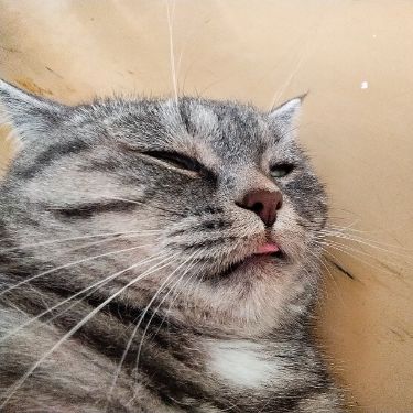 Иконка канала Марик