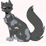 Иконка канала kucm@лапка- DNHO-PEKC