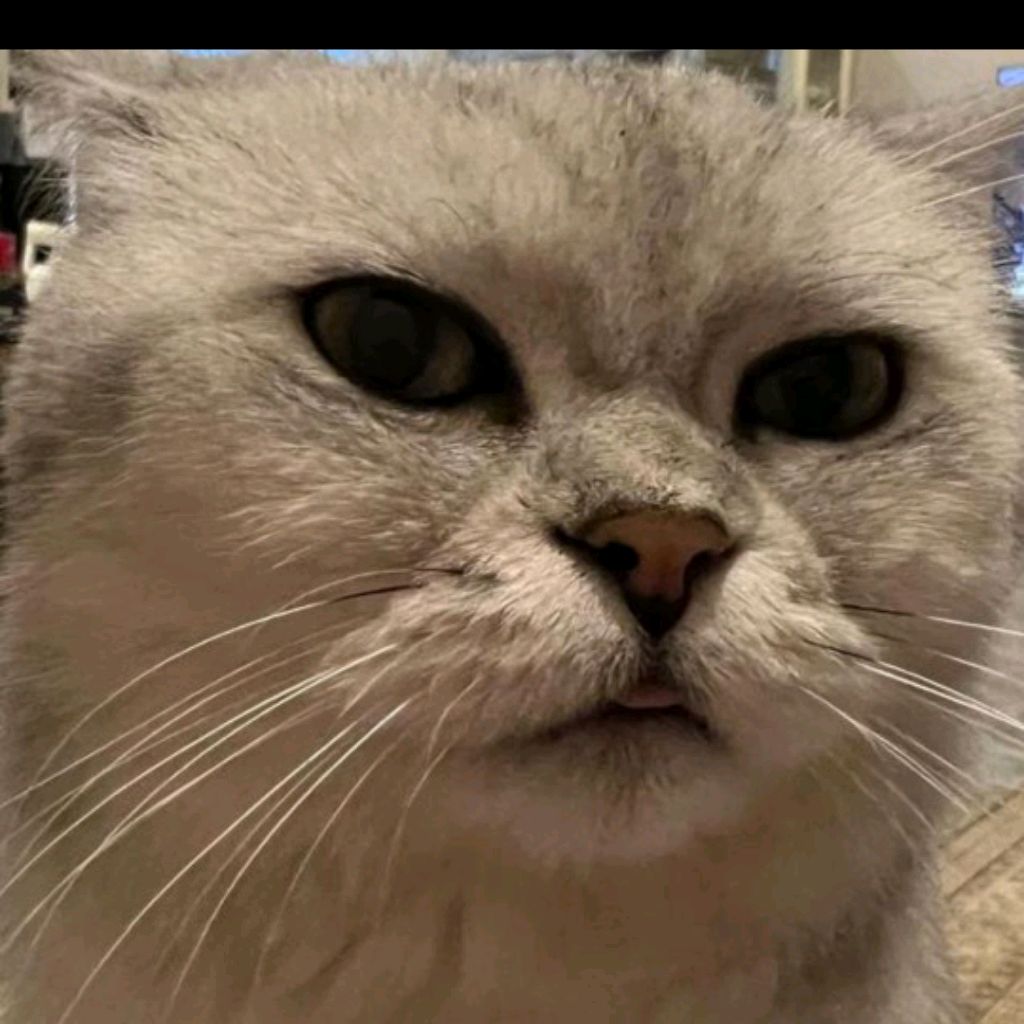 Иконка канала Player.57682174