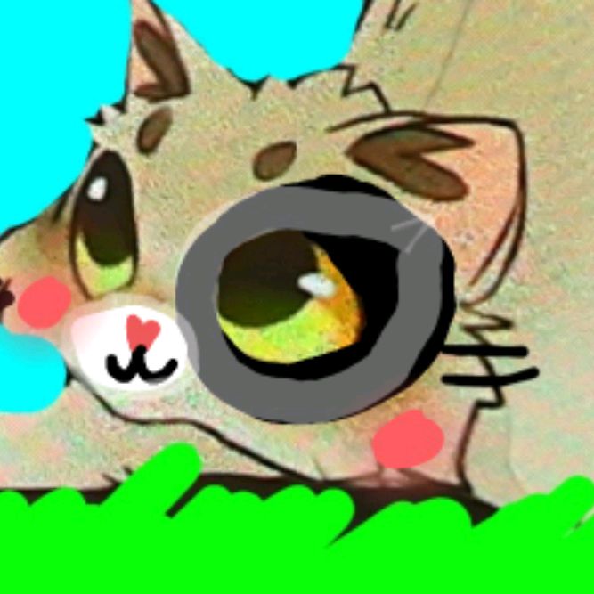 Иконка канала 🐈⬛ ¡!МЕДЖИК РЫСЬКА РУСЯ¡!🐈⬛ ★{кВ}♥︎(⚫🟡🧮)