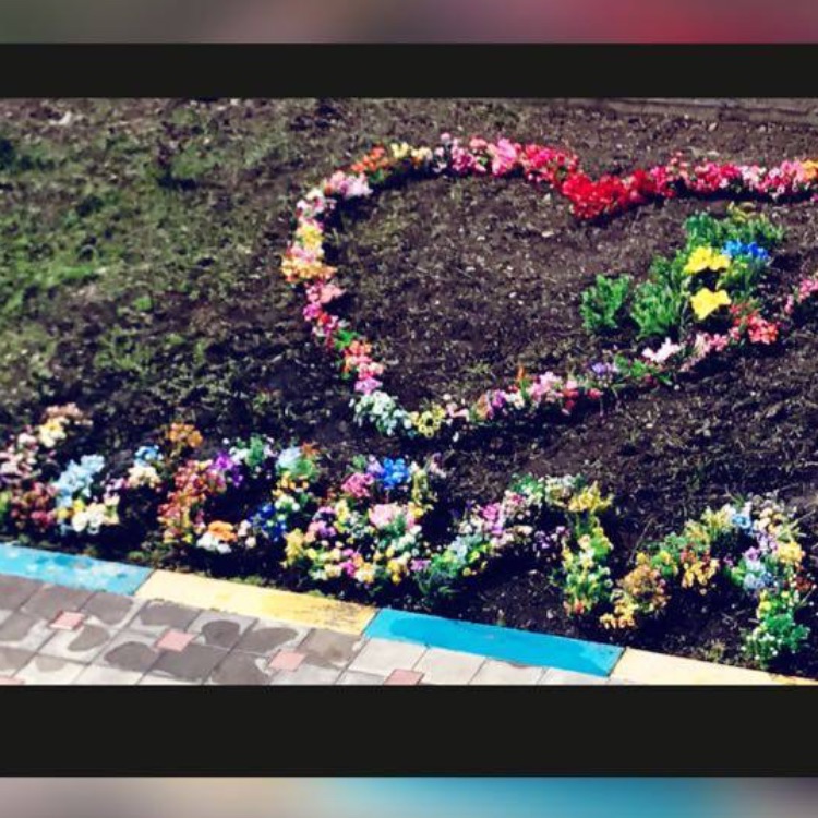 Иконка канала МБДОУ ДЕТСКИЙ САД №4 «Шовда» ст.Ассиновская